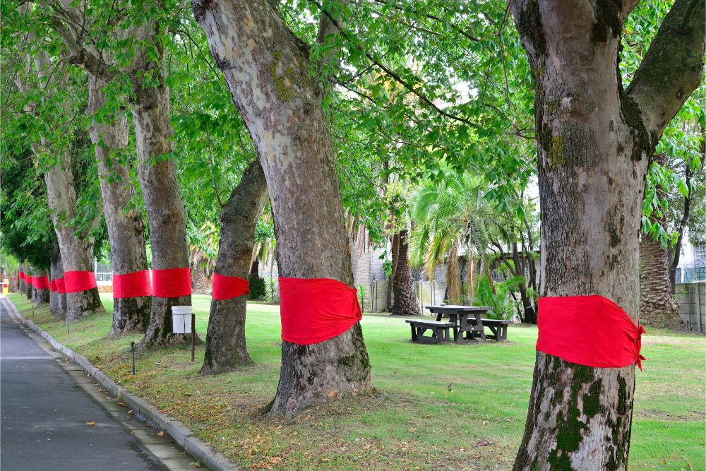 Gallery - ACA Threads