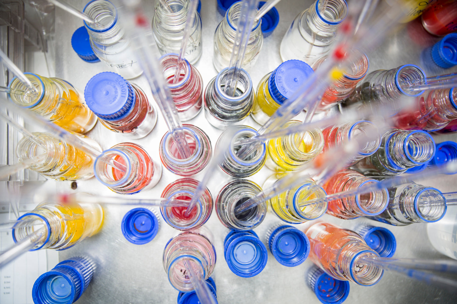 Gallery - ACA Threads